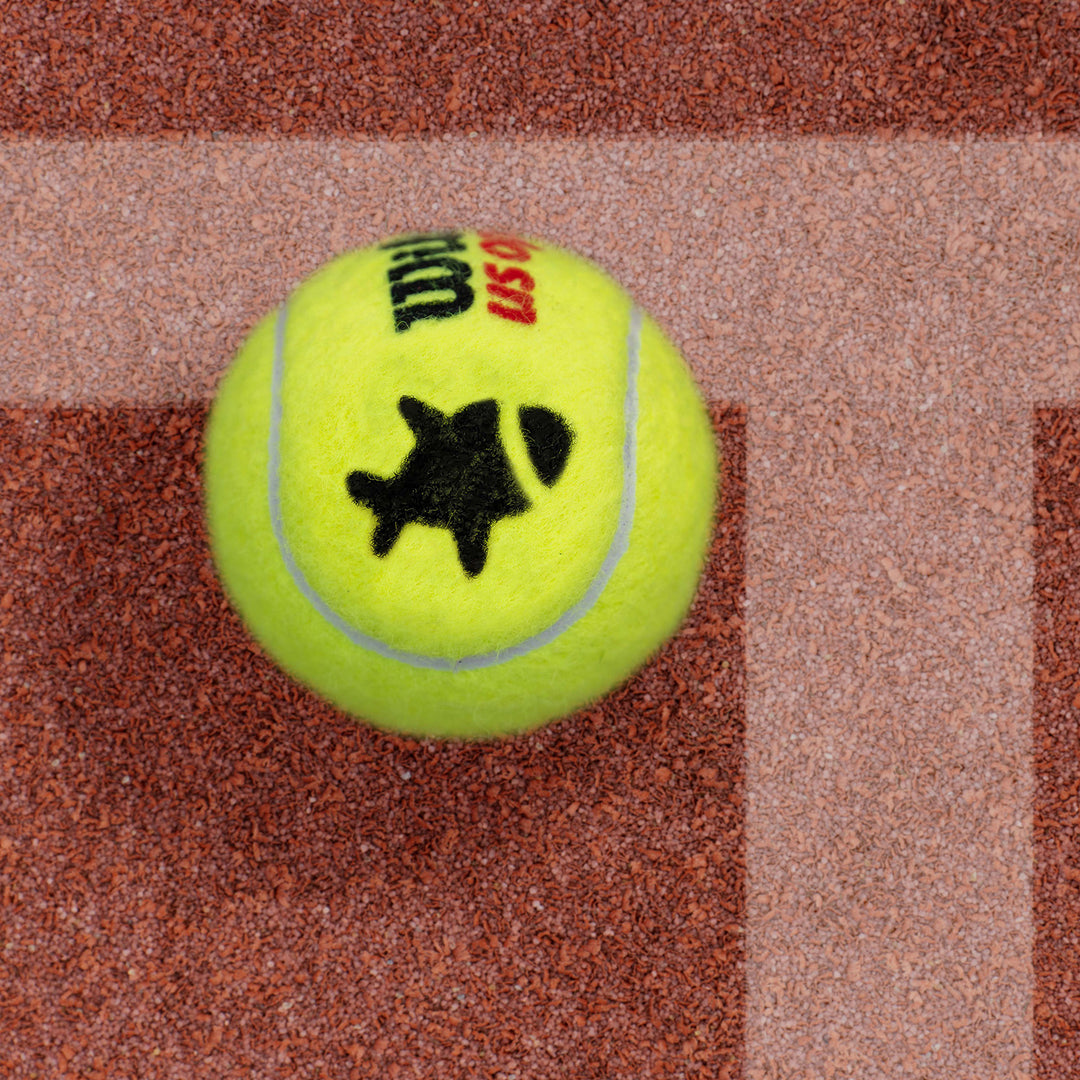 Fish stencil for BallTrace Tennis Ball Marker